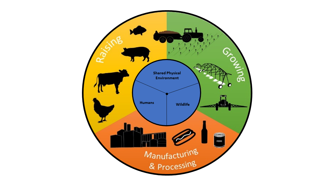food resources production